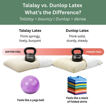 Talalay vs. Dunlop Latex Pillows: Which One Is Better for Your Sleep? – Organic Textiles