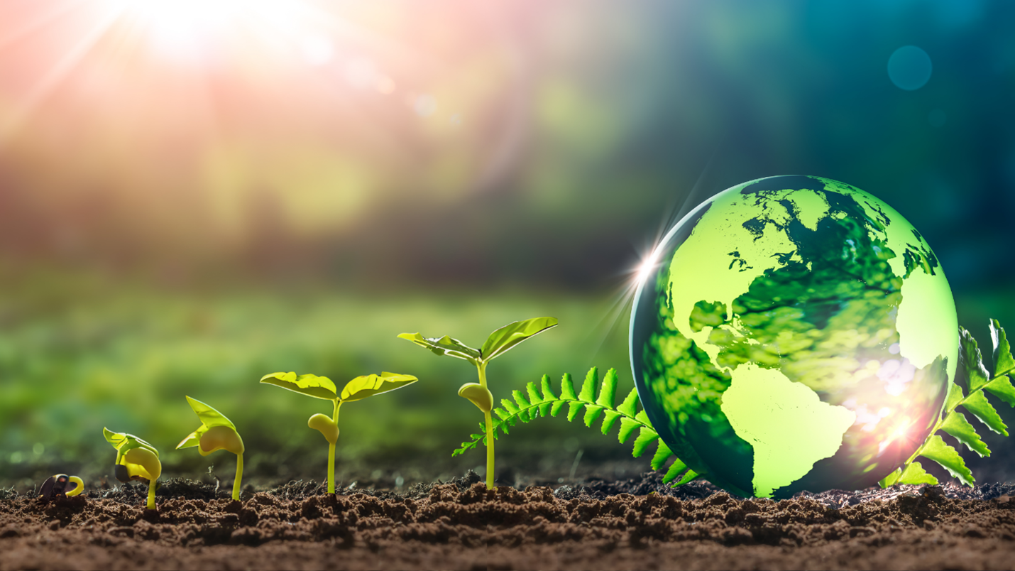 What is Earth Day & Why Does it Matter? – Organic Textiles